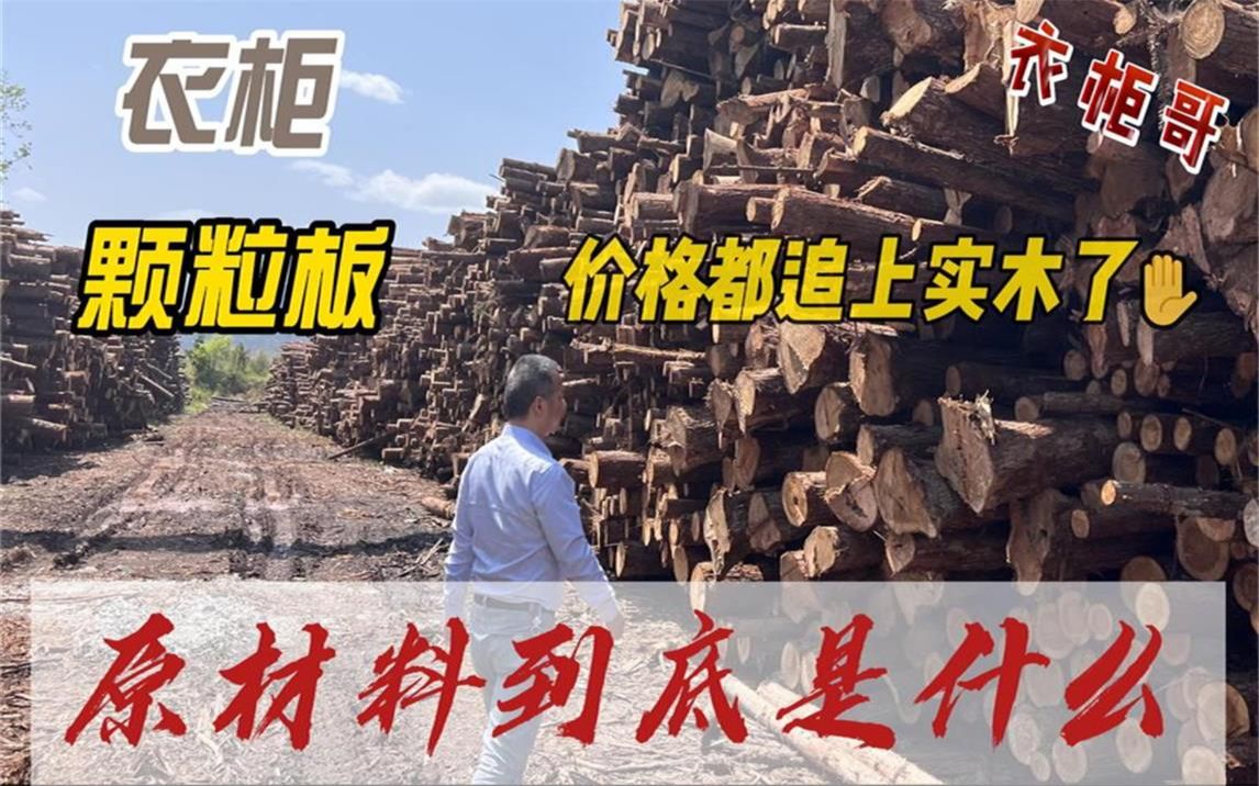 为什么索菲亚欧派都用颗粒板,板材到底怎么看,这些你必须要知道