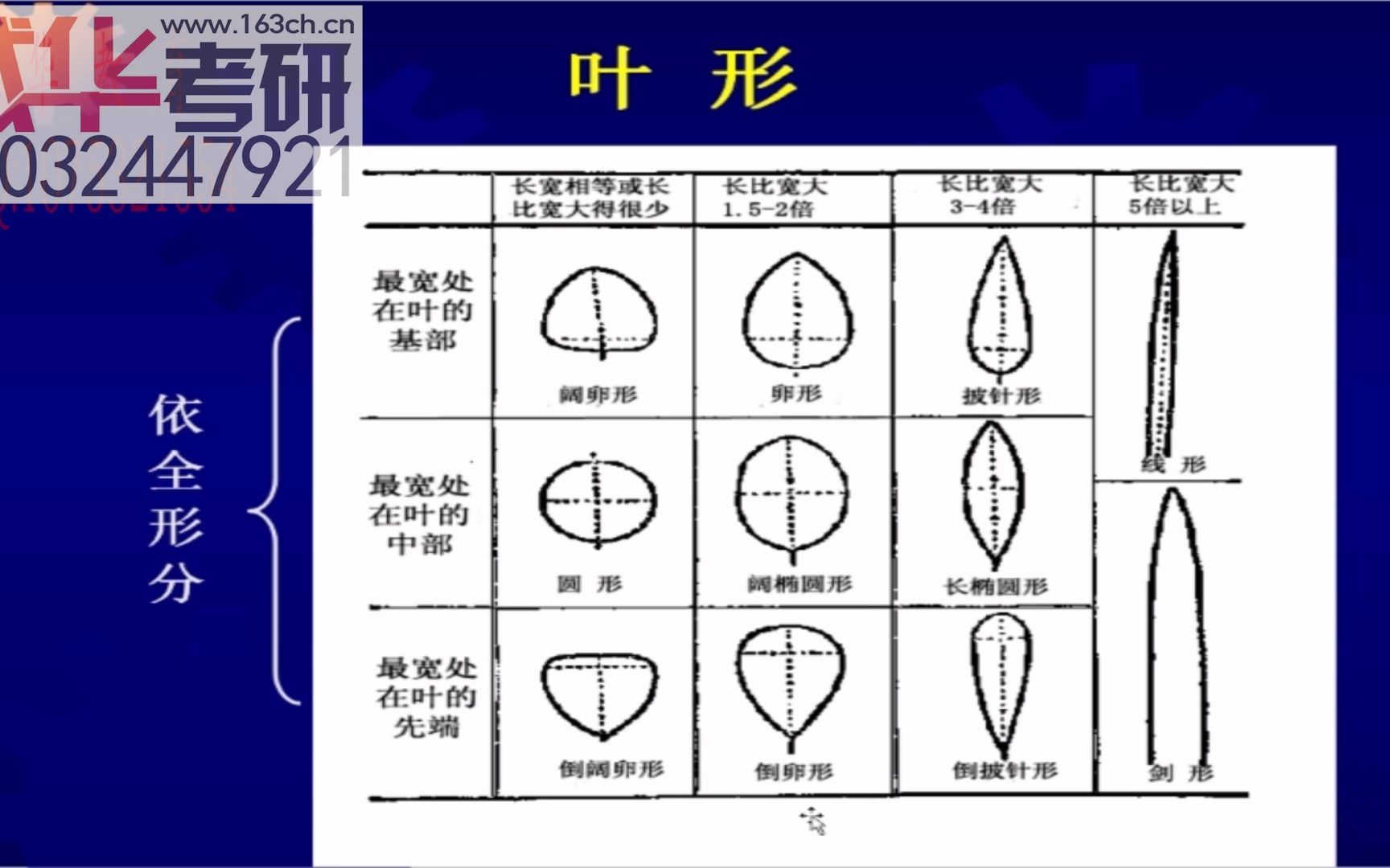 23植物学基础之被子植物叶的形态分类