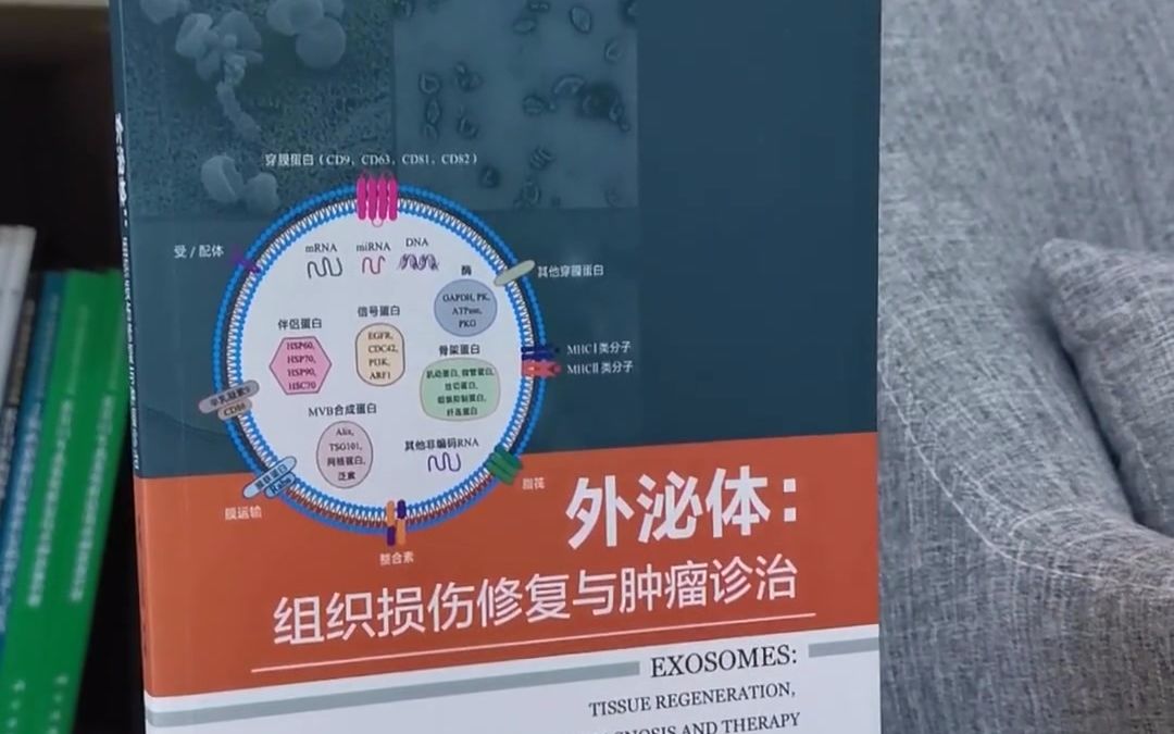 科学出版社《外泌体:组织损伤修复与肿瘤诊治》9787030631145