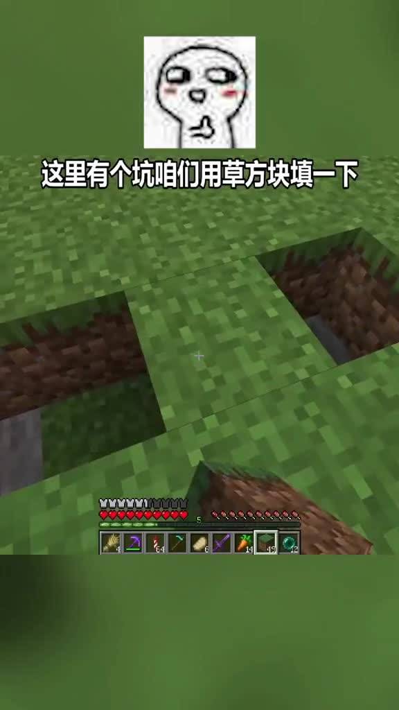 拯救我的世界强迫症玩家