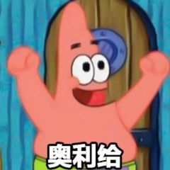 你好啊棕绿 