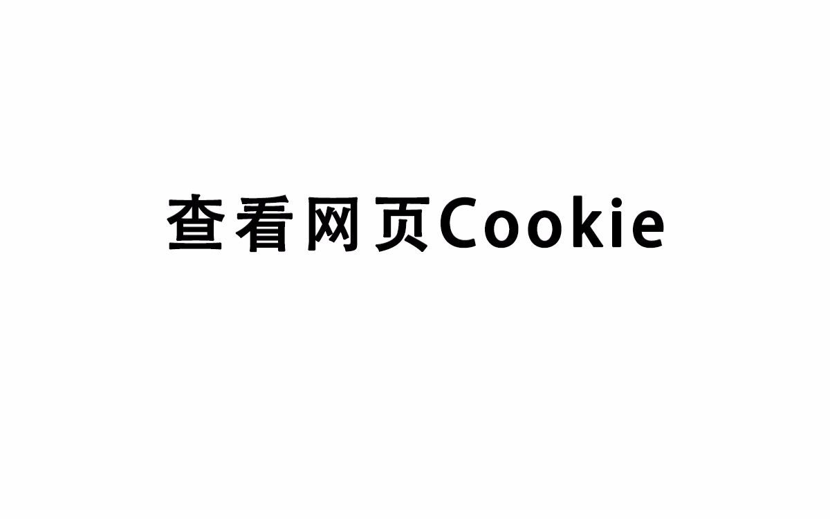查看网页Cookie