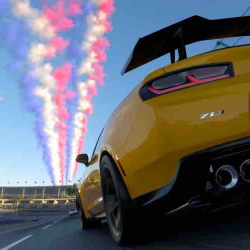 南湖畔de猫猫熊 