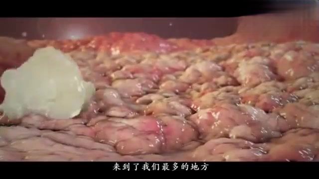 转起分享!震撼短片!电影式科普病毒如何入侵人体!