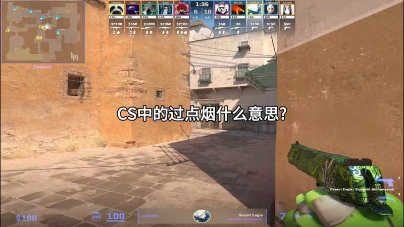 CS中的过点烟什么意思?