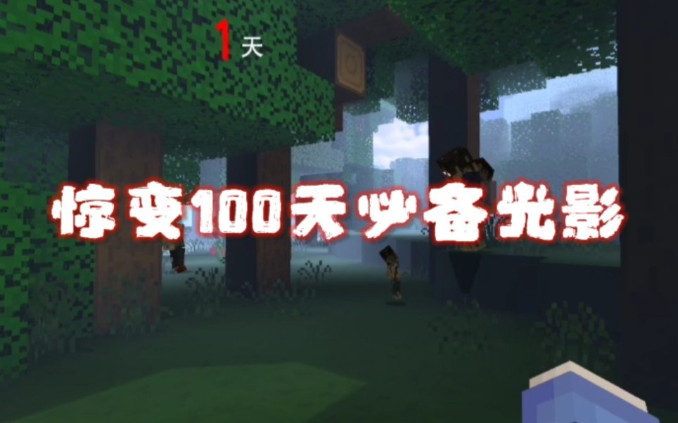 【网易我的世界】惊变100天系列必备光影