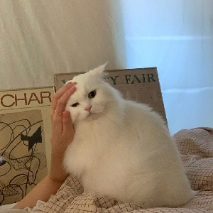 赵九十 