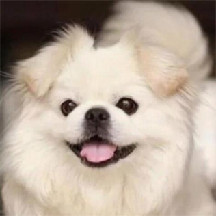 辽宁饕哥