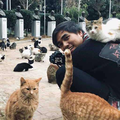 甜叔环球吸猫记 