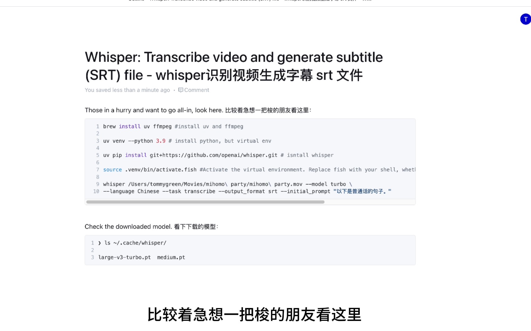 使用 whisper 识别中文视频生成字幕 (srt 文件)