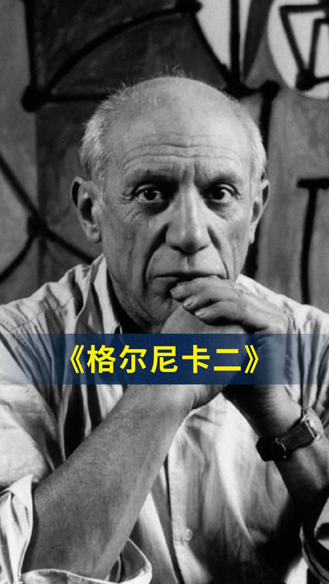 今造极:毕加索,《战争与和平》我的愿望是世界和平(下)