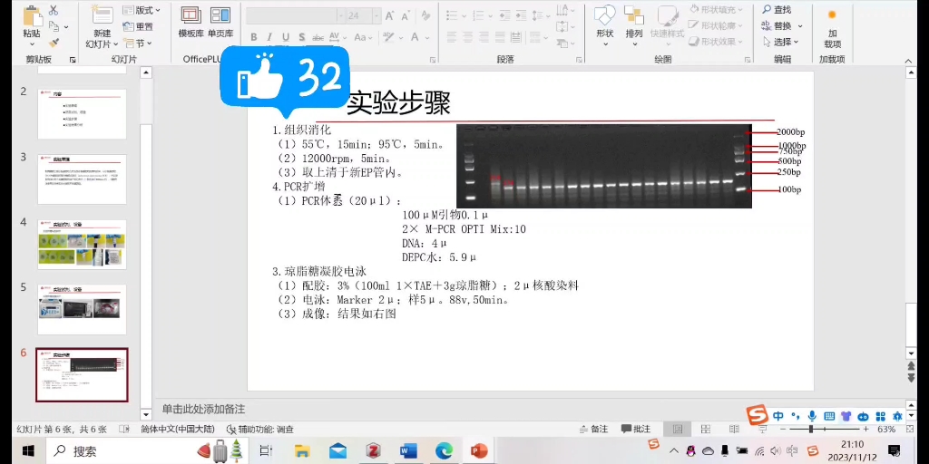 Flox小鼠基因型鉴定,不会的小伙伴快来看看叭