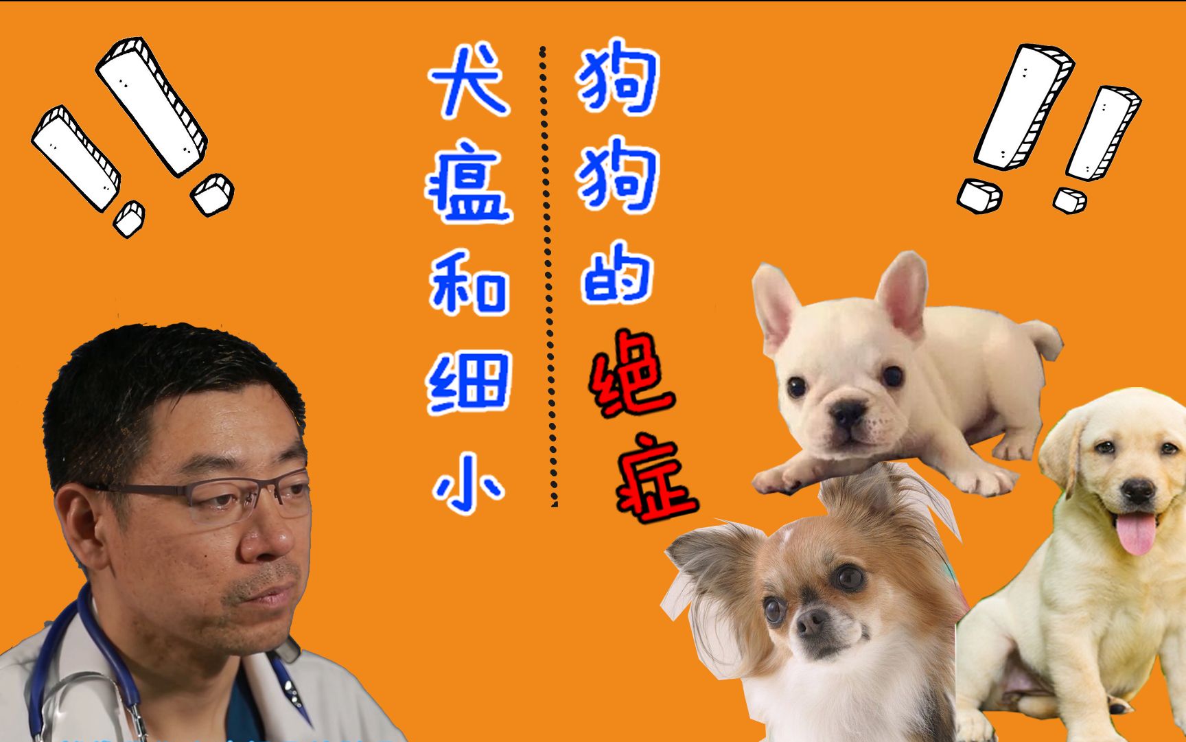 犬瘟和细小，真的会死吗？宠医有料10期