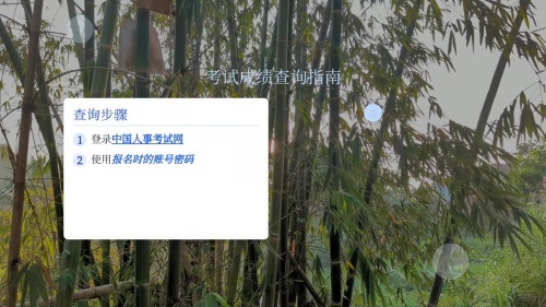 中级经济师成绩公布