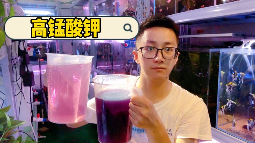 观赏鱼高锰酸钾如何正确使用?简单易懂,告别鱼缸鱼儿团灭。