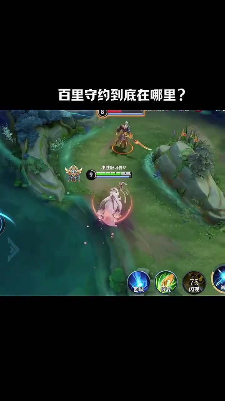 你们看到百里守约了吗 #王者荣耀