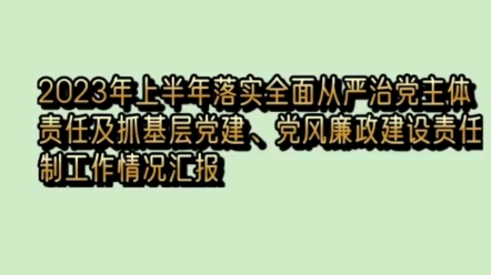 ...年上半年落实全面从严治党主体责任及抓基层党建、党风廉政建设...