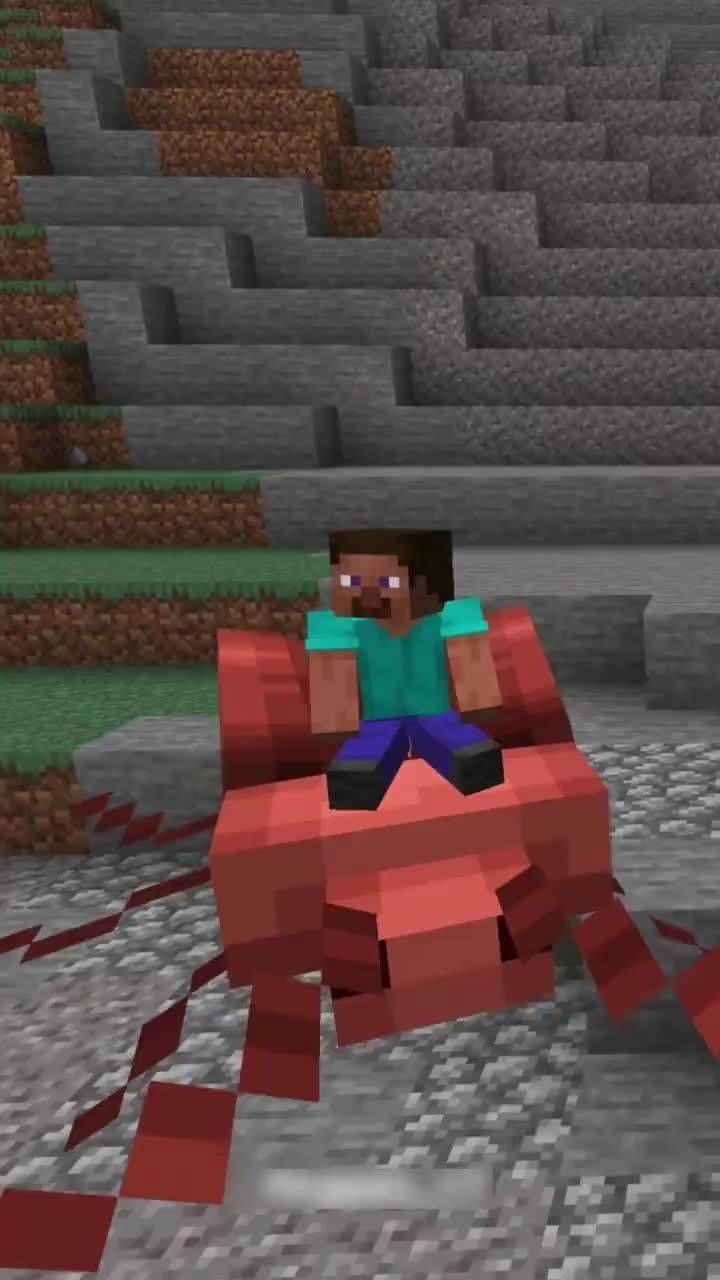 我在我的世界中添加了蟑螂