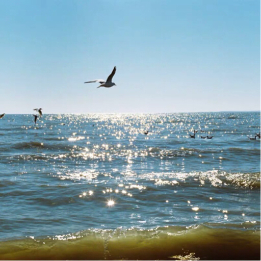 在下春香有何贵干 