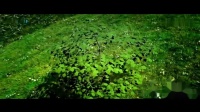 少辅宣讲台-《3月12日植树节》