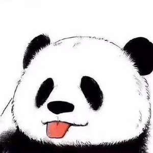 是张雪贺哟 