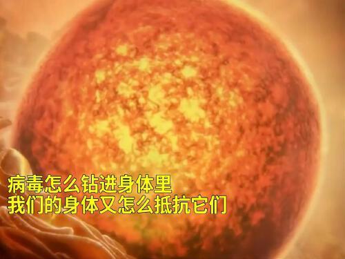 病毒怎么钻进身体里,我们的身体又怎么抵抗它们?