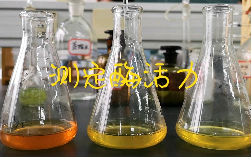 【天青夏妖】过氧化氢酶活力的测定