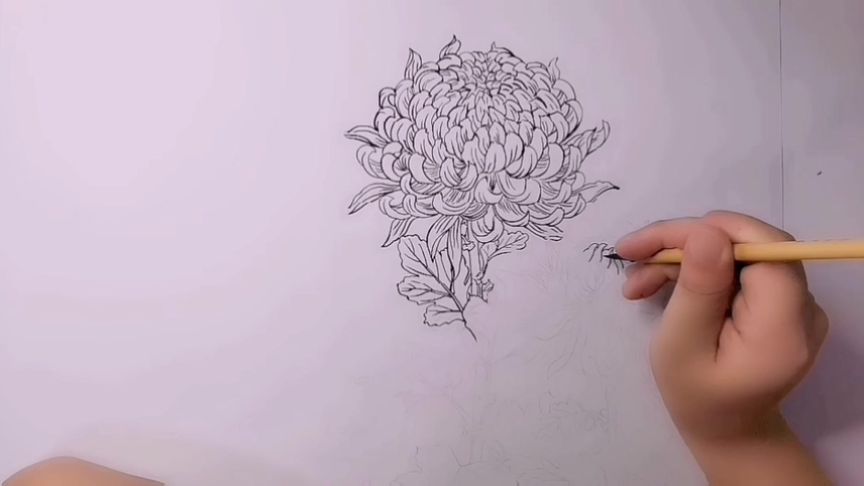 第一次用勾线笔画白描,大家觉得我的用笔可以吗