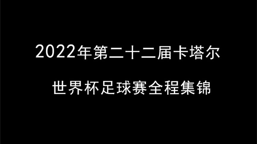 第22届卡塔尔世界杯足球赛全程集锦-小组赛E组