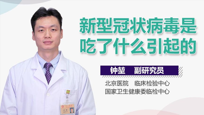 新型冠状病毒是吃了什么引起的?