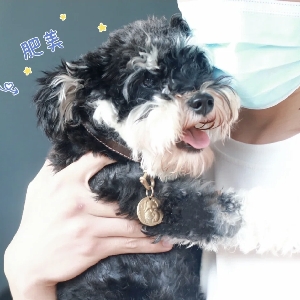 鹿潇雨儿 