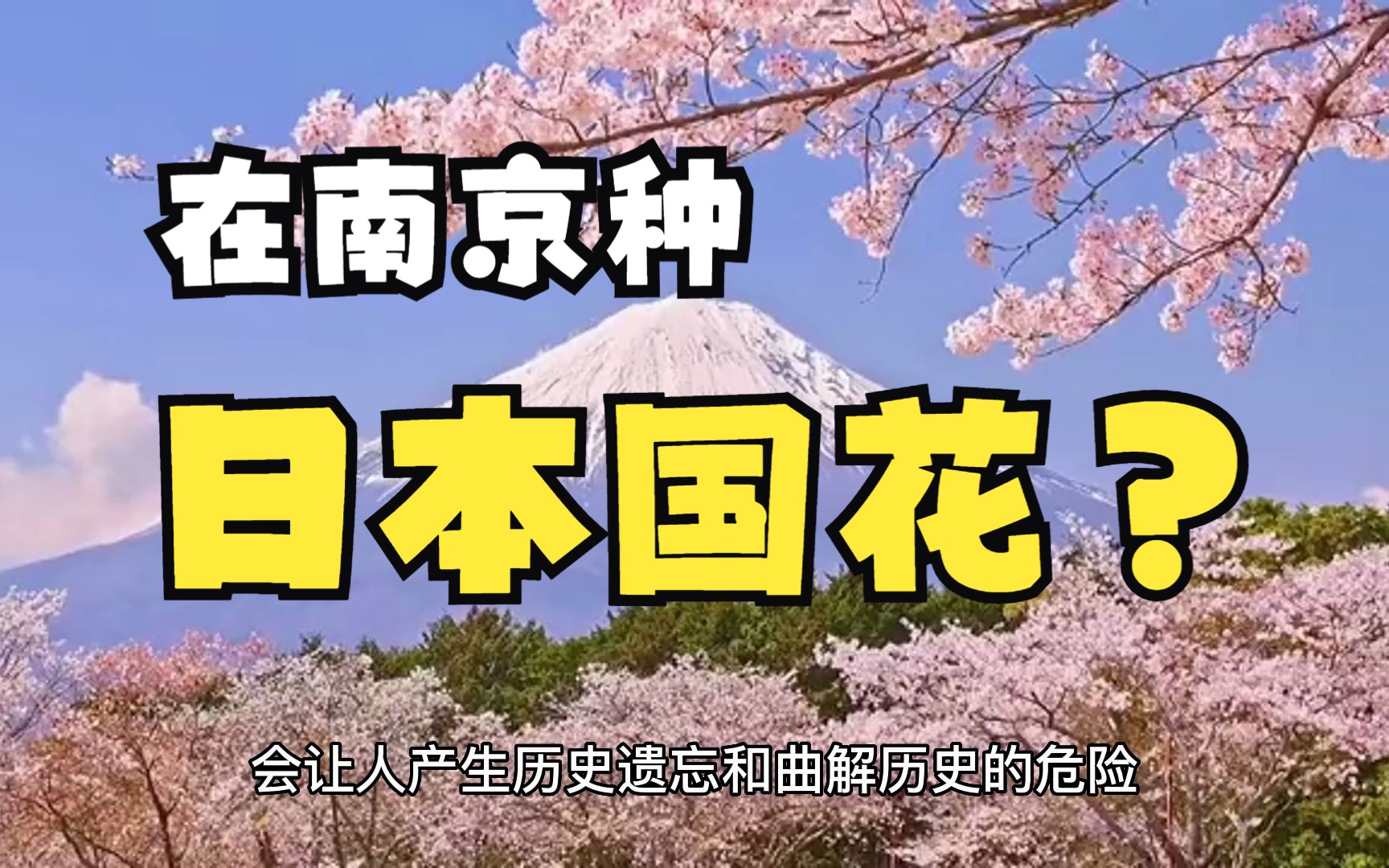 网红城市南京大面积种植樱花合适吗?