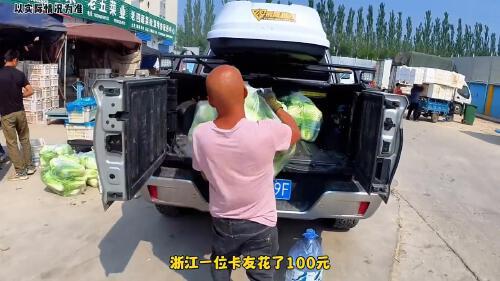 皮卡车拉白菜走绿通,能免高速费你知道吗