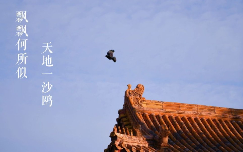 故 宫 宣 传 片 2 0 2 0