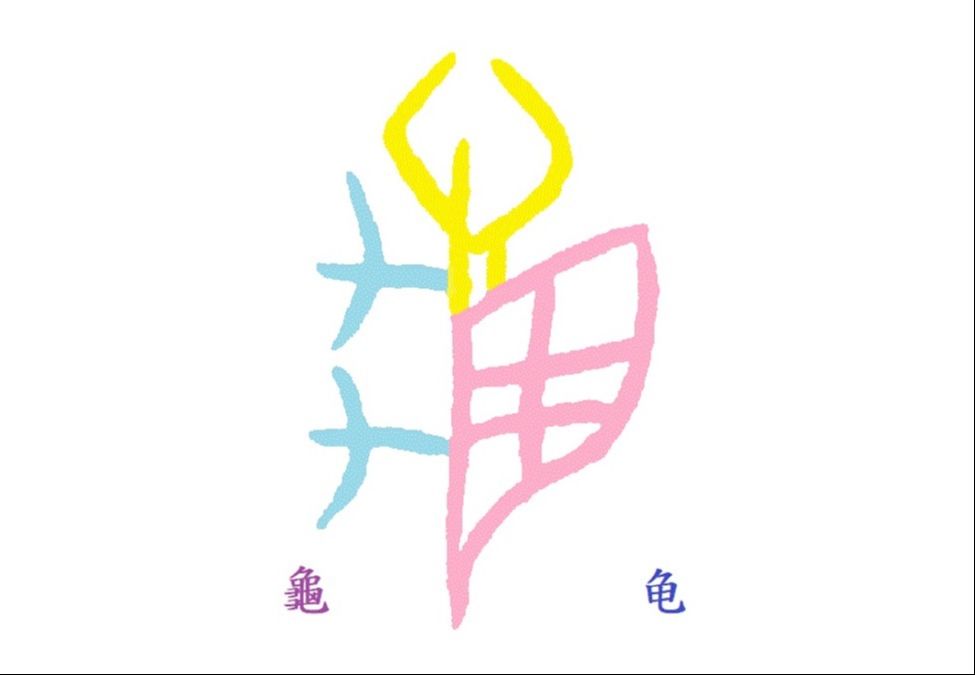 甲骨文动画:龜龟01(内含〝龜龟〞字甲、金、篆、隶、楷字形演变说解)