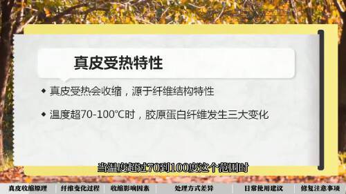 真皮遇热竟会缩水?揭秘皮革保养的惊人真相!