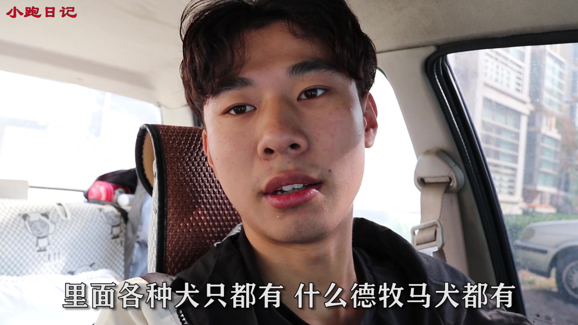 小伙探访农村犬舍,刚进门就被一条德牧吸引,网友:这值多少钱?