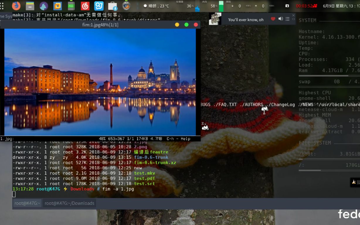 使用Linux打开文件的几种姿势-编译安装 fim