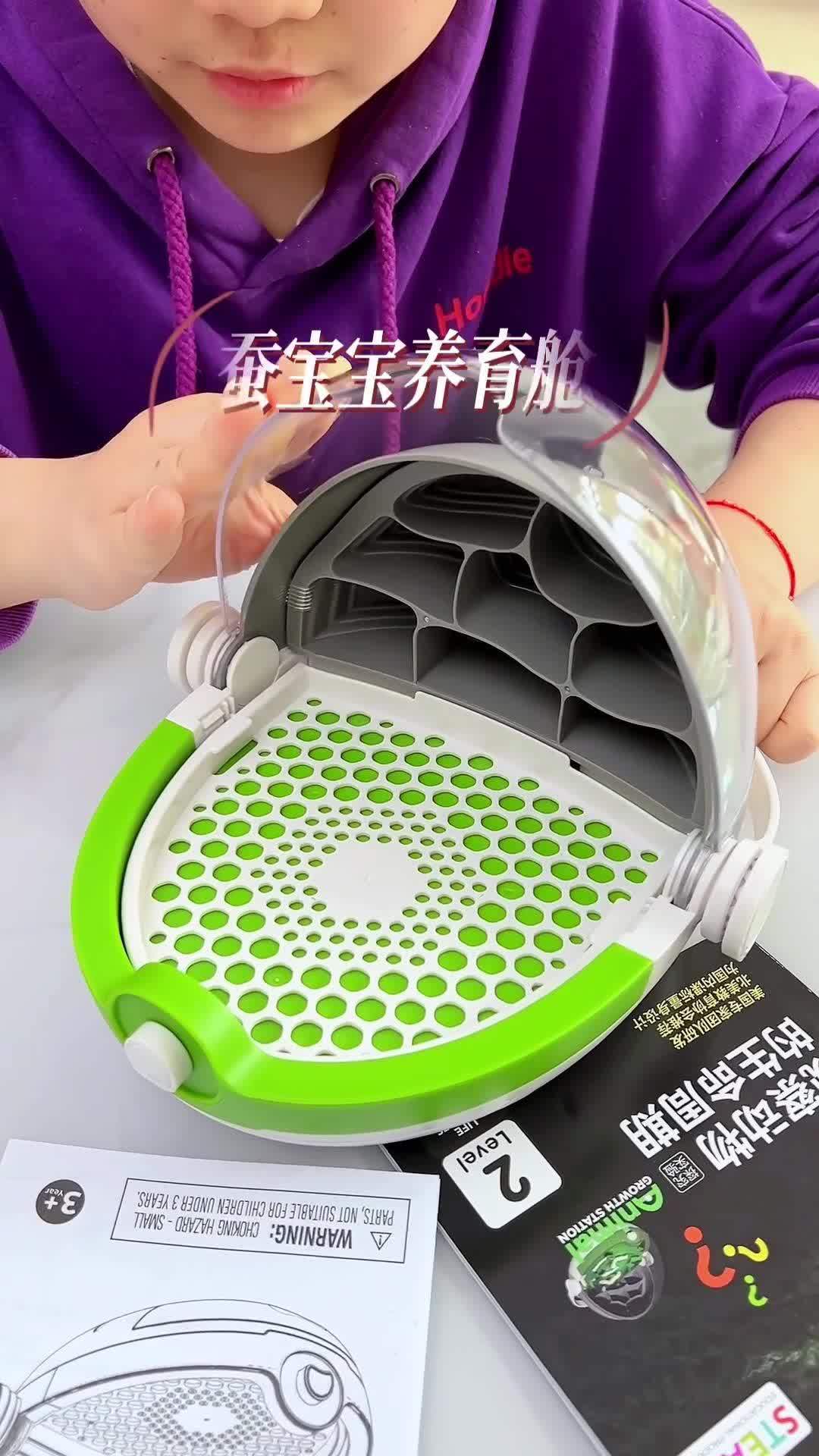 一起来养蚕宝宝吧~观察生长记录变化,探索神奇的大自然,满足孩子的.