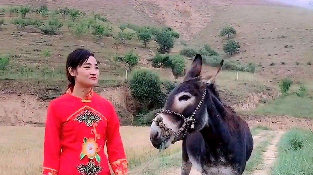 农村姑娘唱首民歌《挡不住的思念》,有点肉麻,总听都不腻