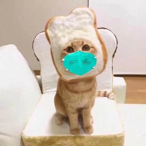 被三只梨排挤 