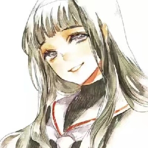 魔法少女袁先生 