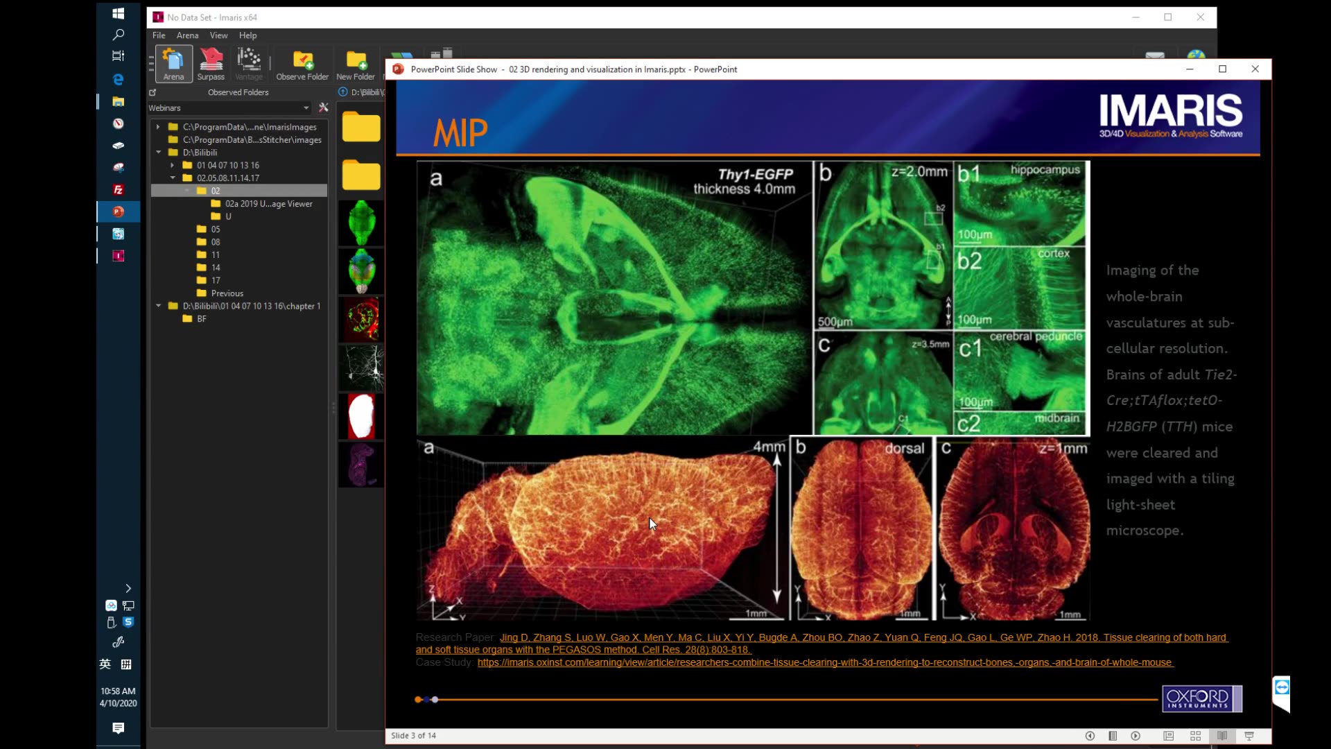 【Imaris教学】Imaris数据可视化教程