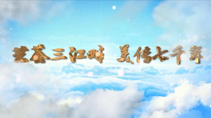 宁波工艺美术协会宣传片、宁波行业协会宣传片拍摄、宁波视频拍摄