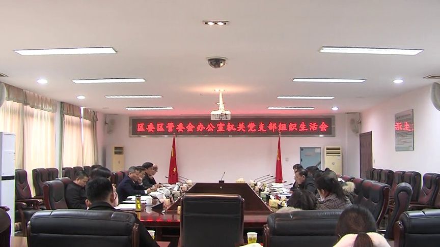 大通湖区委区管委会办公室机关党支部组织生活会召开