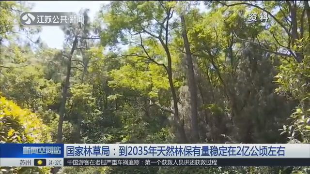 国家林草局:到2020年,基本建立天然林保护修复法律制度体系