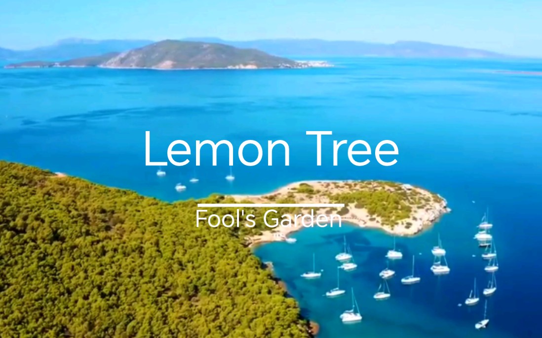 火遍全球的歌曲,无数英语老师拿来教学”《Lemon Tree》