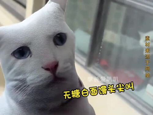 宠物图案的抱枕可以多有创意?无边框设计让它们更抽象!