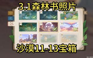 3.1森林书照片沙漠11-13宝箱