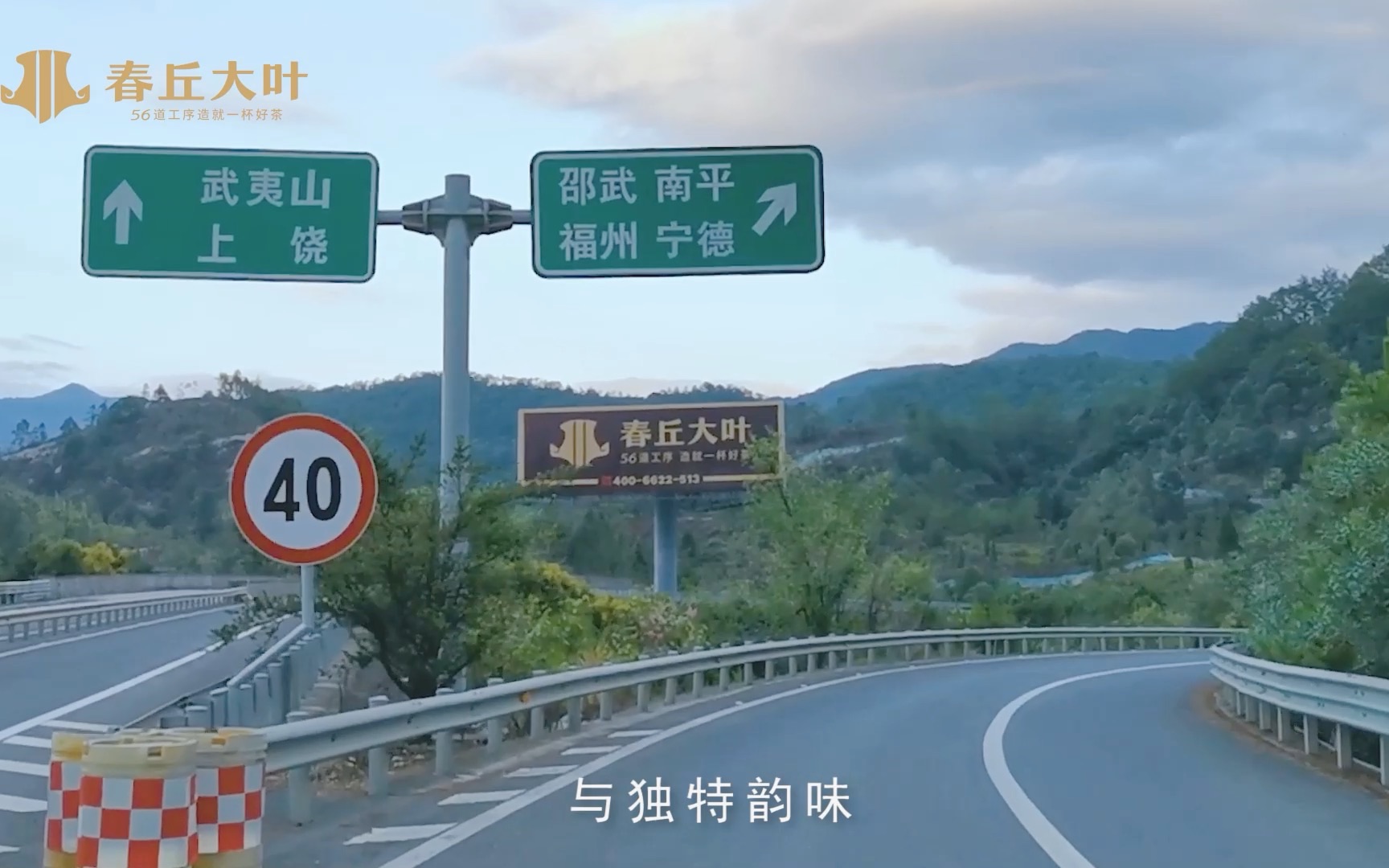 春丘大叶,以全新56道工序造就中国好茶标准